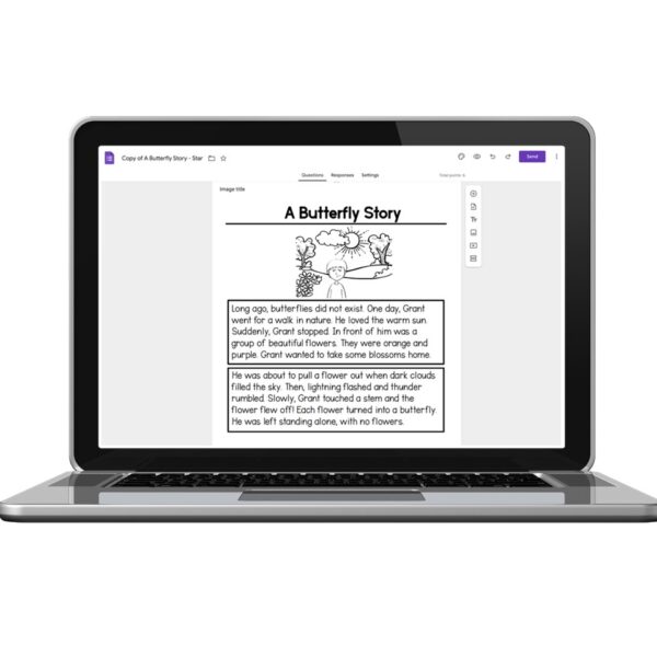 Digital 2nd Grade Reading Passages - Illustrations and Inferences - A ...