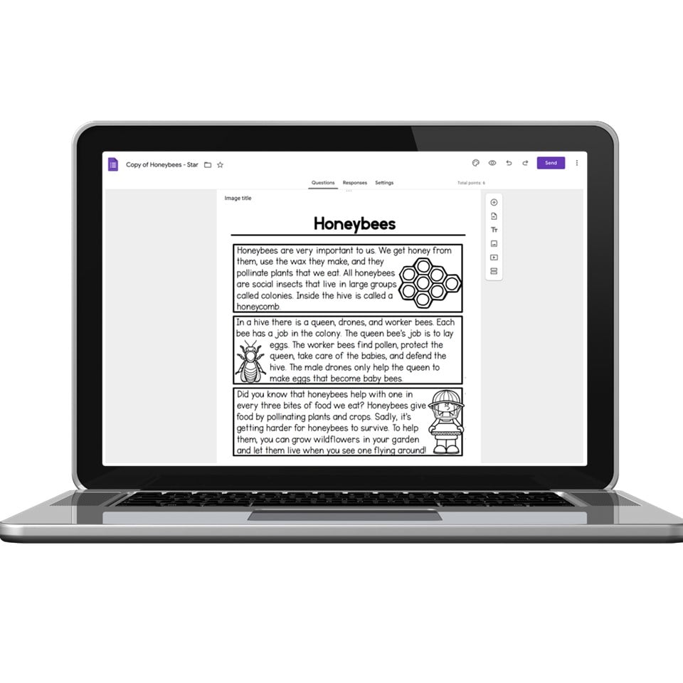 Digital 2nd Grade Reading Passages - Main Idea - Honeybees - Below ...