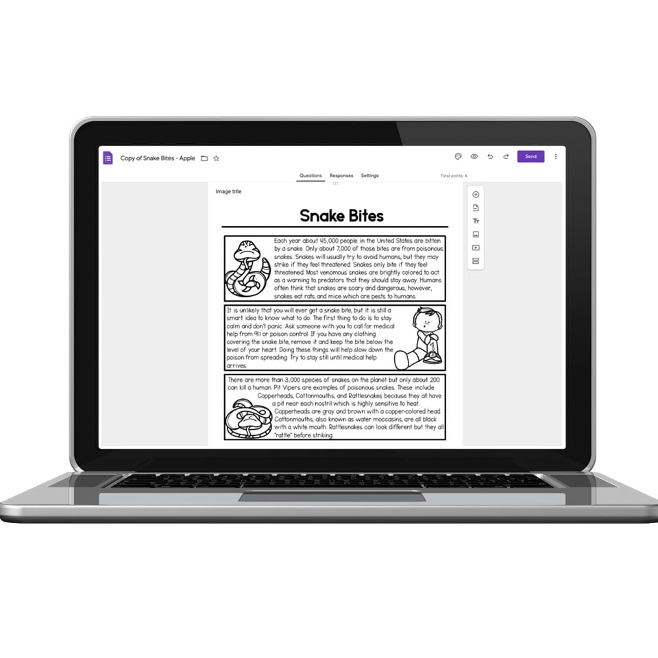 Digital 2nd Grade Reading Passages - Main Idea - Snake Bites - Above ...