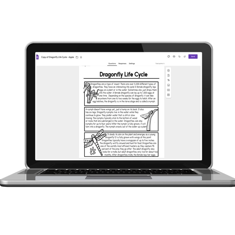 Digital 2nd Grade Reading Passage - Sequencing and Steps - Dragonfly ...
