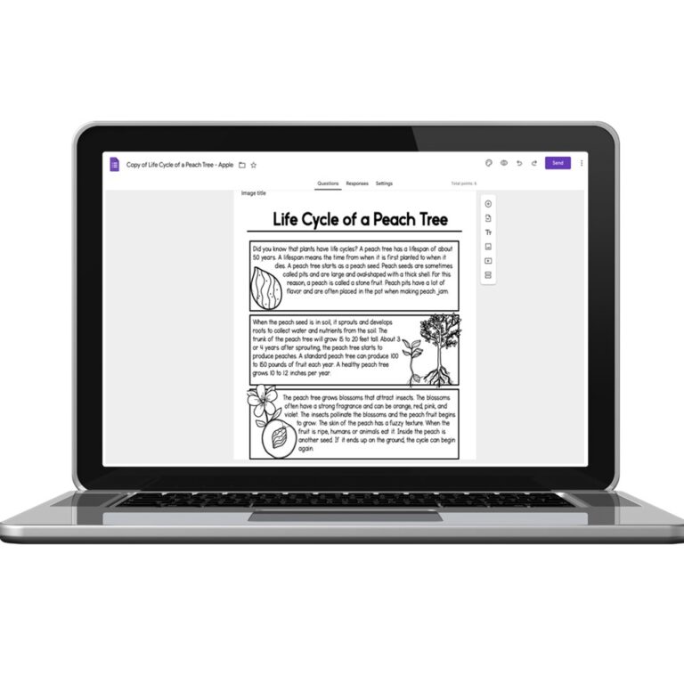 Digital 2nd Grade Reading Passage - Sequencing and Steps - Life Cycle ...