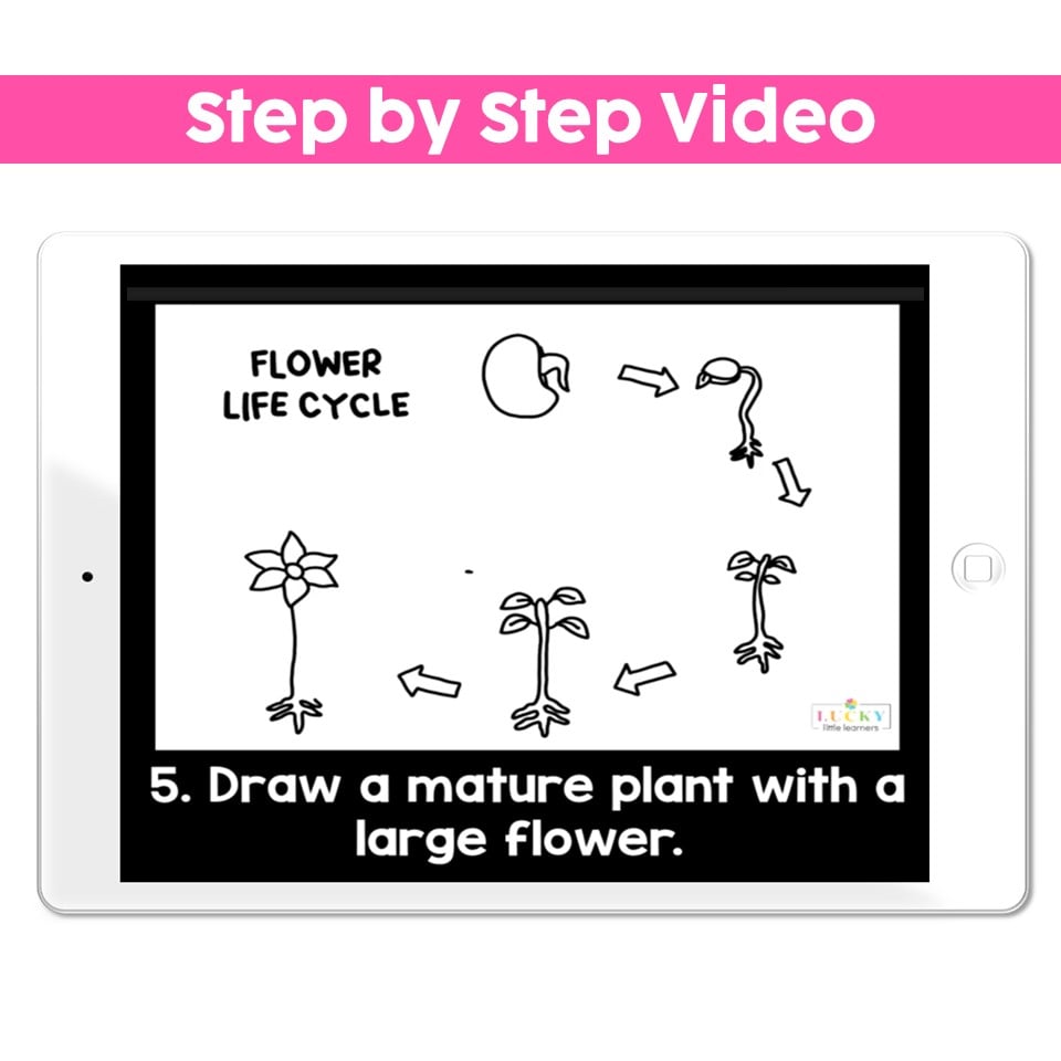 Digital Life Cycles - Directed Drawings - Following Directions - Flower ...
