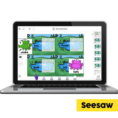 Digital Seesaw - 2nd Grade Grammar Center - Singular and Plural Nouns ...