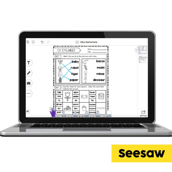 Digital Seesaw - 2nd Grade Phonics Worksheets - CV Syllables - Lucky ...