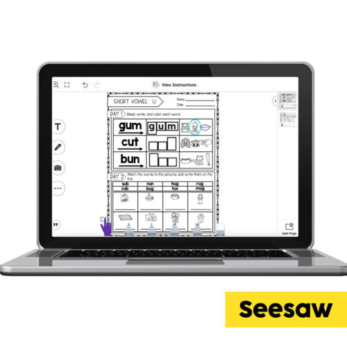 Digital Seesaw - 2nd Grade Phonics Worksheets - Short Vowel U - Lucky ...