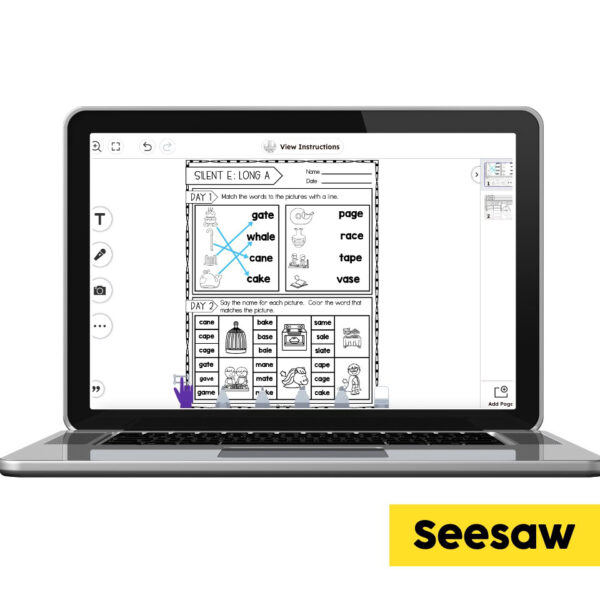 Digital Seesaw - 2nd Grade Phonics Worksheets - Silent E, Long A ...