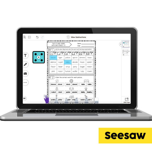 Digital Seesaw - 2nd Grade Phonics Worksheets - Two Syllable Words with ...