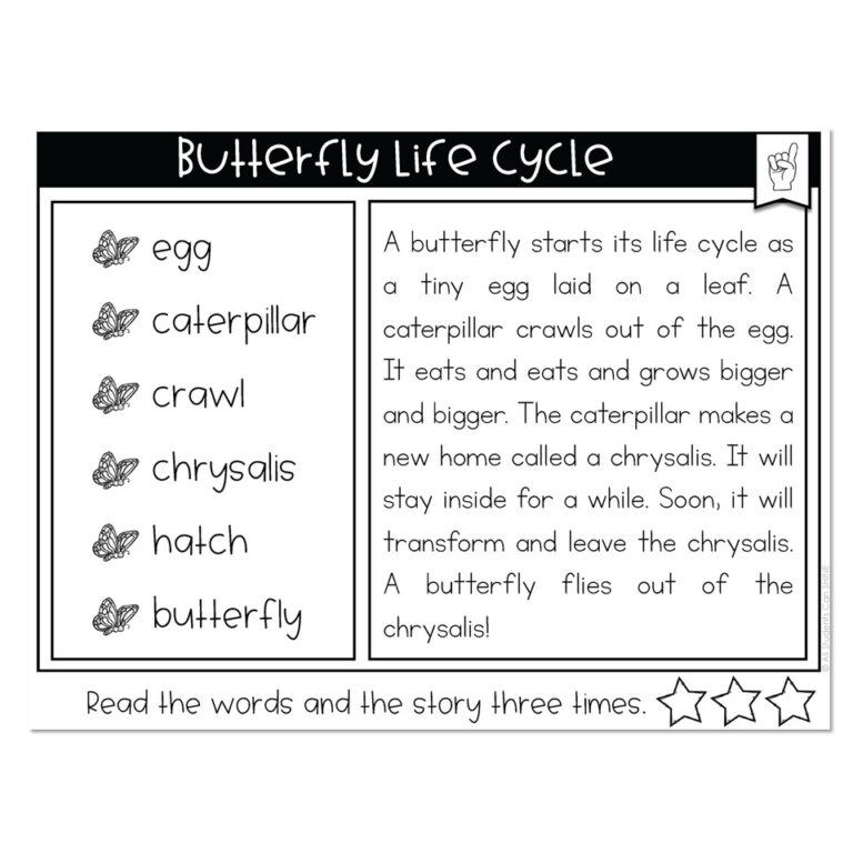 Life Cycle Full Page Readers - Butterfly - Lucky Little Learners