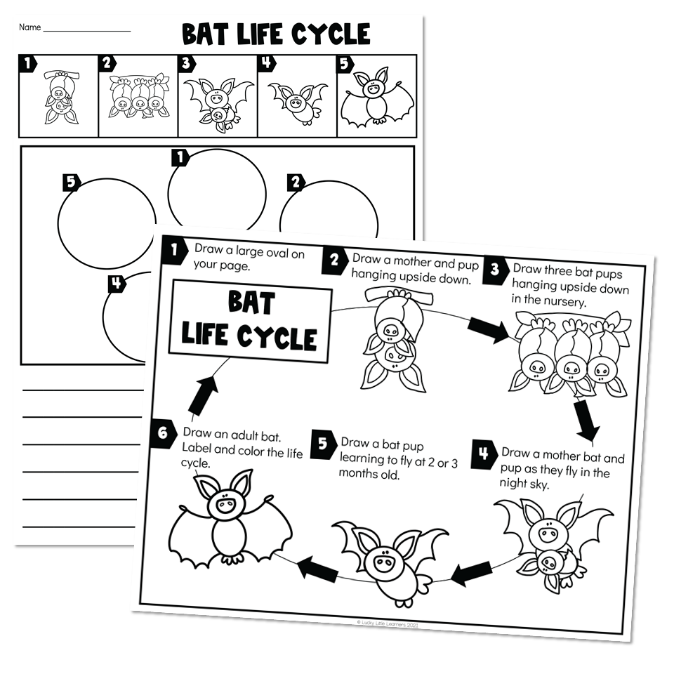 Life Cycles - Directed Drawings - Following Directions - Bat - Lucky ...