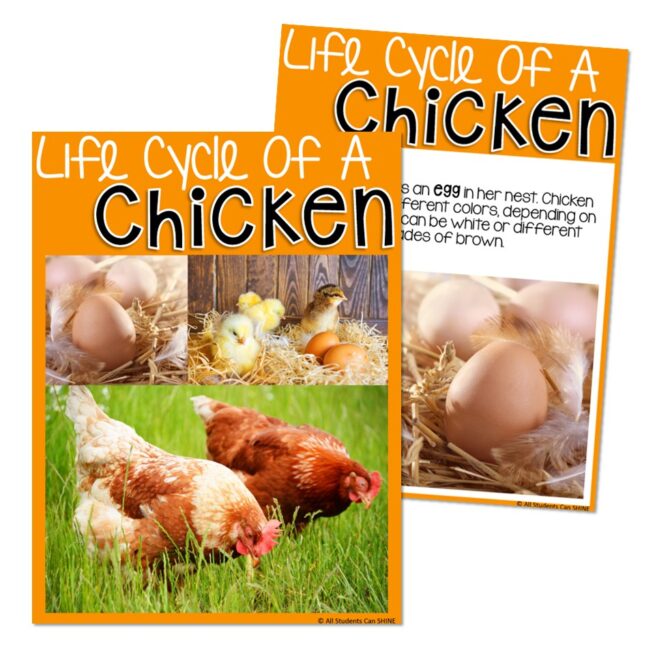 Life Cycles Unit - Chicken Book - Lucky Little Learners