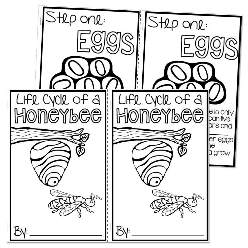 Life Cycles Unit - Mini Reader - Bee - Lucky Little Learners