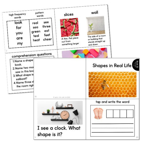 Lucky Little Readers - Nonfiction - Book Twenty-Two - Vowel Teams EA EE ...