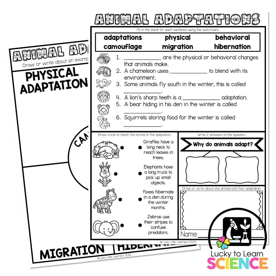 Lucky to Learn Science - Animal Adaptations - One-Pager - Lucky Little ...