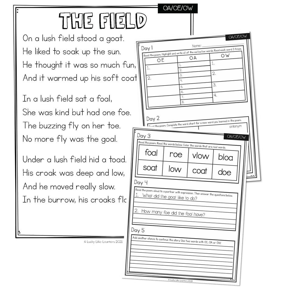 Phonics Poems - Long o Vowel Teams - OA and OE and OW - Lucky Little ...
