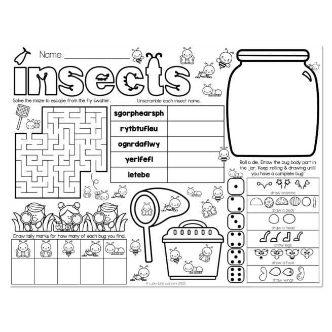 Placemat - Insects and Bugs - Lucky Little Learners