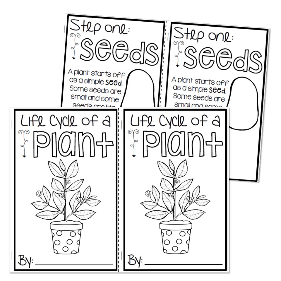 Plants Unit - Mini Booklet - Life Cycle of a Plant - Lucky Little Learners