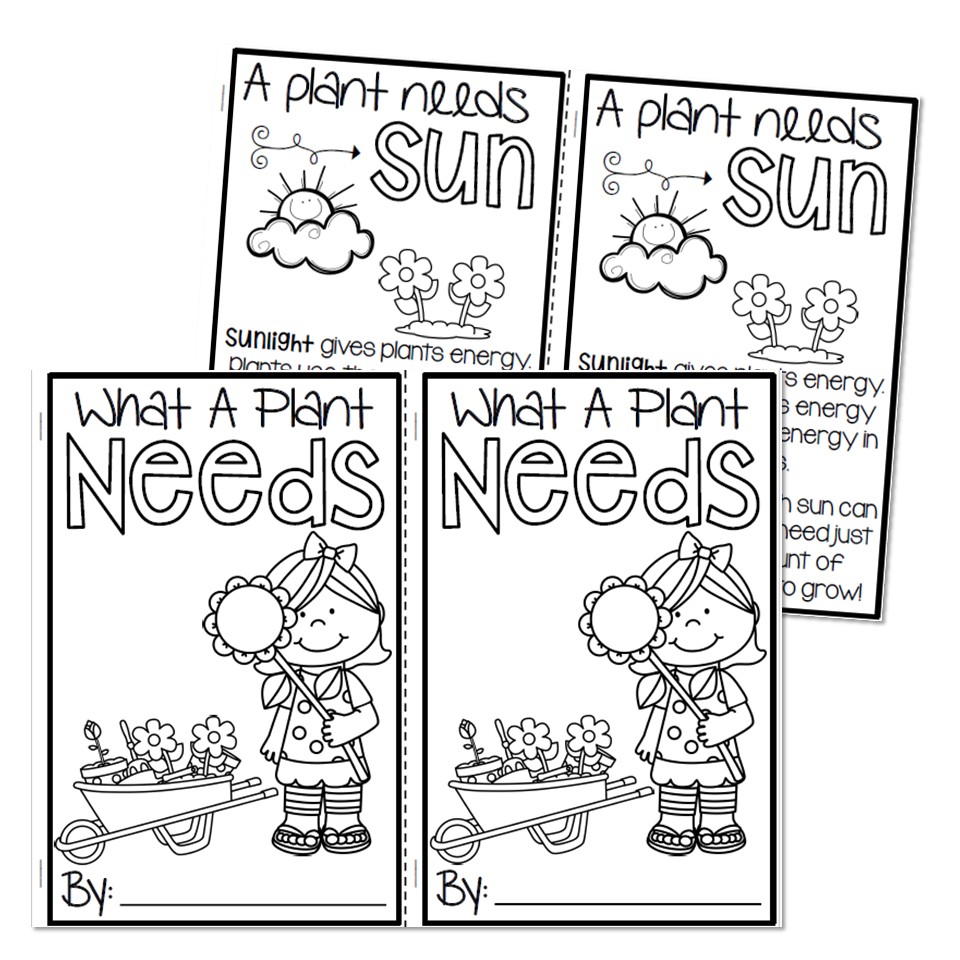 Plants Unit - Mini Booklet - What a Plant Needs - Lucky Little Learners