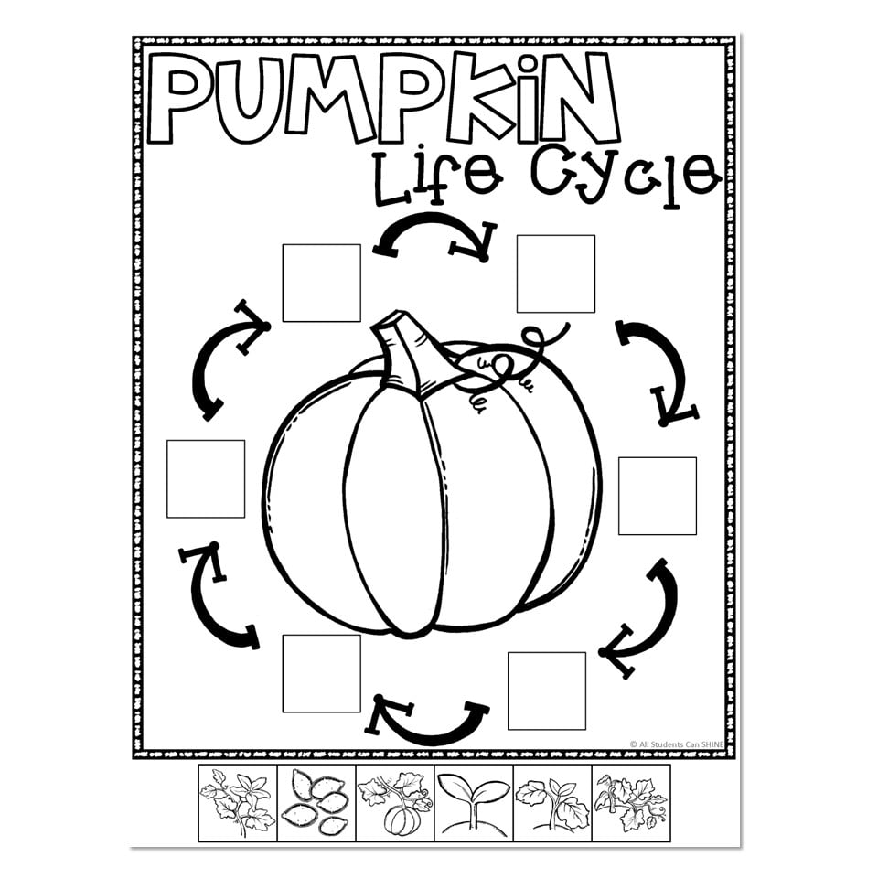 Pumpkin Unit - Pumpkin Life Cycle Cut and Paste - Lucky Little Learners