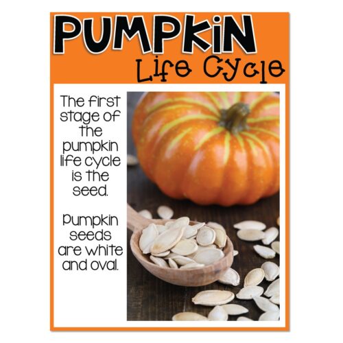 Pumpkin Unit - Pumpkin Life Cycle Read Aloud - Lucky Little Learners