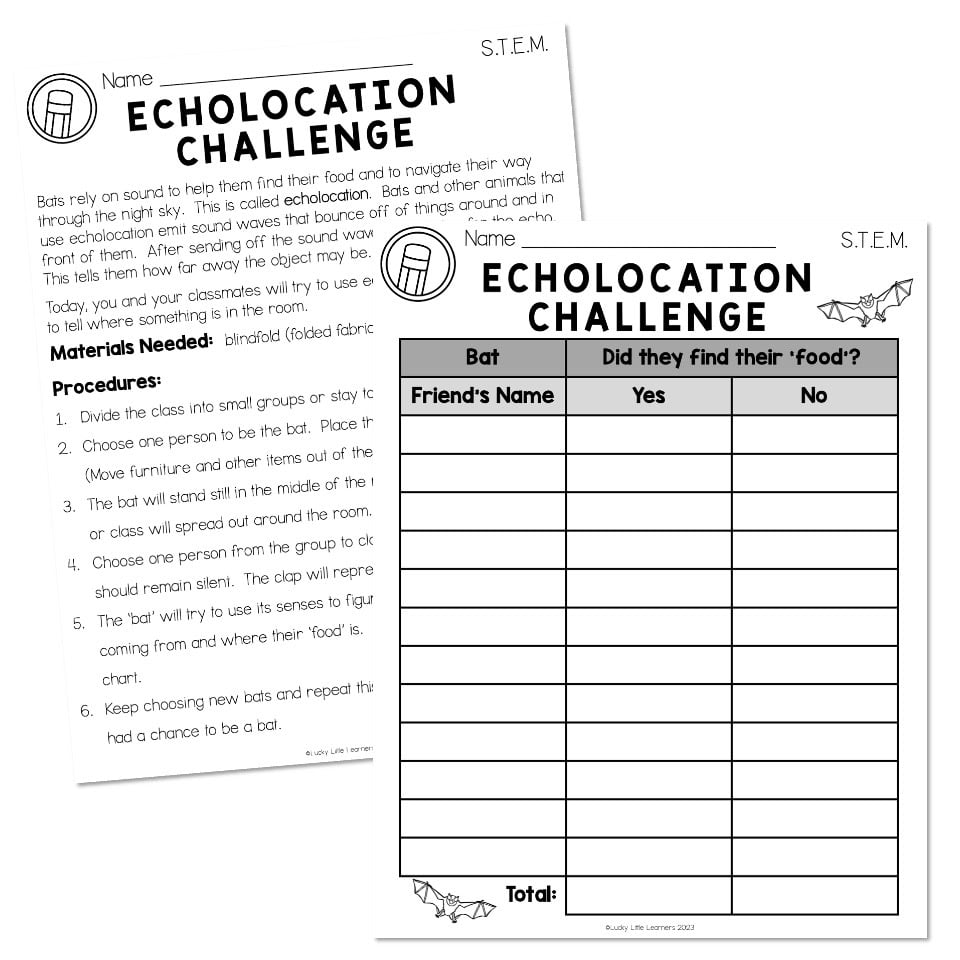 Sub Plans - Beginning of Year - STEM - Echolocation Challenge - Lucky ...