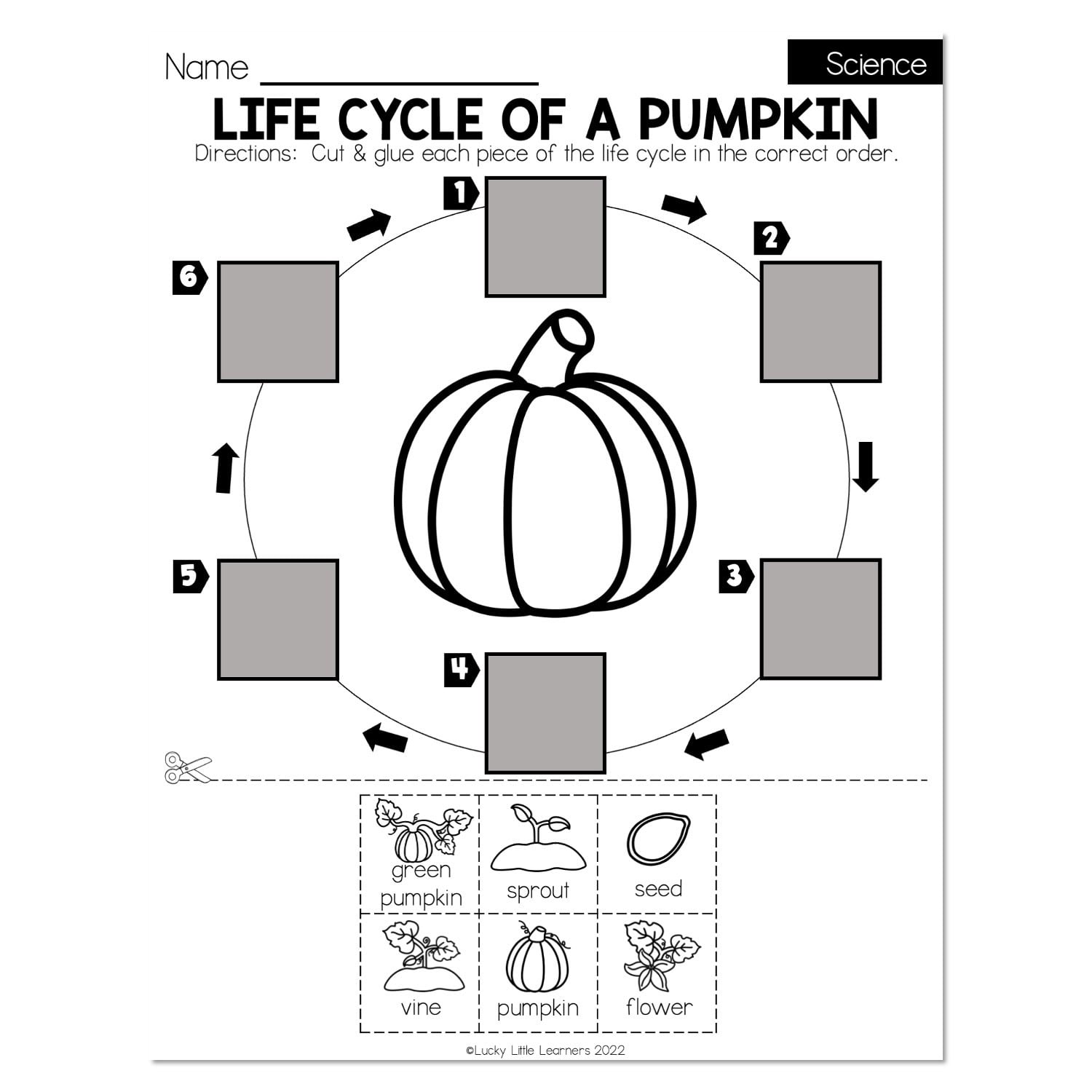 Fall- Early Finishers 1st Grade - Science - Life Cycle of A Pumpkin ...