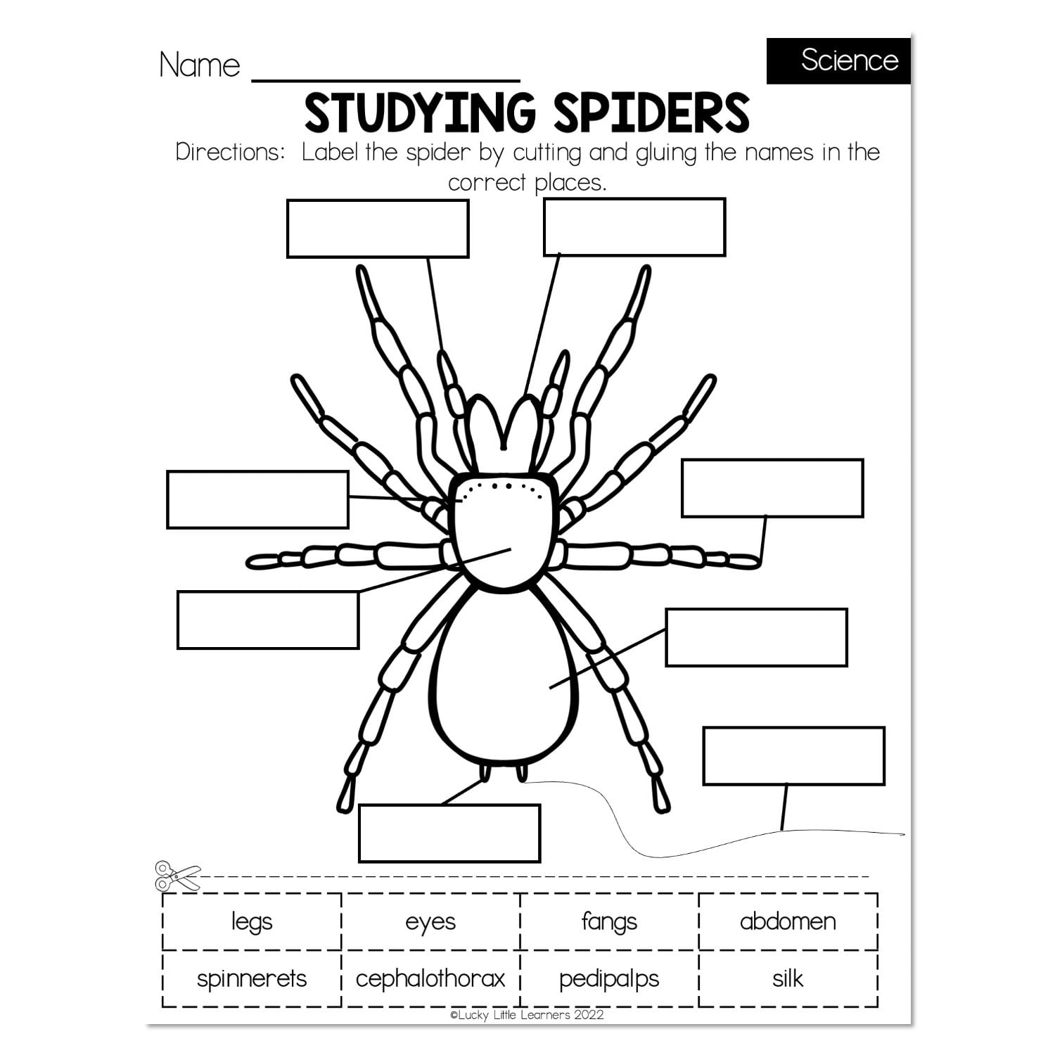 Fall- Early Finishers 1st Grade - Science - Studying Spiders - Lucky ...