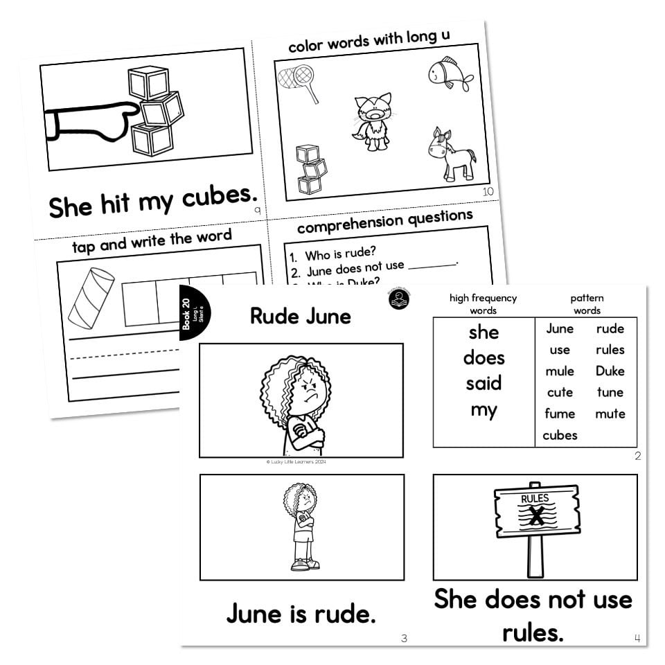 Lucky Little Readers - Fiction - Book Twenty - Long U Silent E - Rude ...