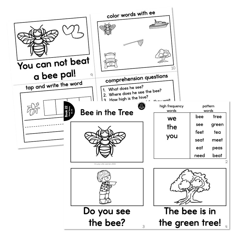 Lucky Little Readers - Fiction - Book Twenty Two - Vowel Teams EA EE ...