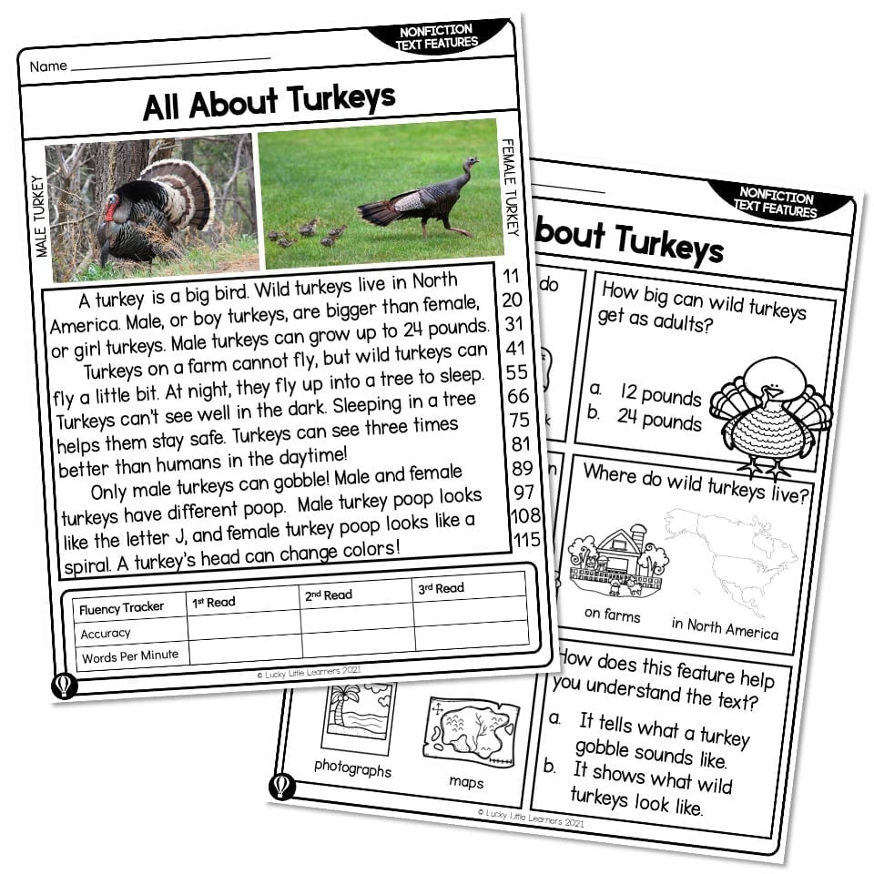 1st Grade Nonfiction Text Features Reading Passage - All About Turkeys ...