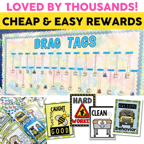 Brag Tags Bundle #1 - Lucky Little Learners