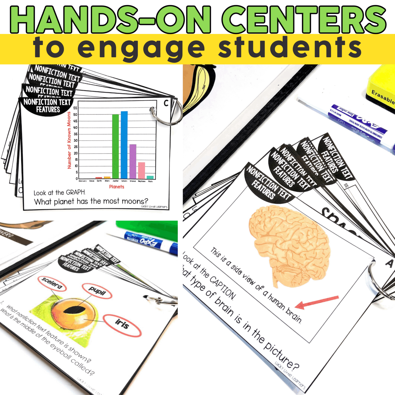 Nonfiction Text Features Pack - Lucky Little Learners