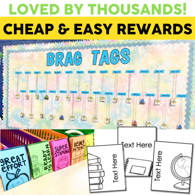 Editable B&W Brag Tags - School - Lucky Little Learners