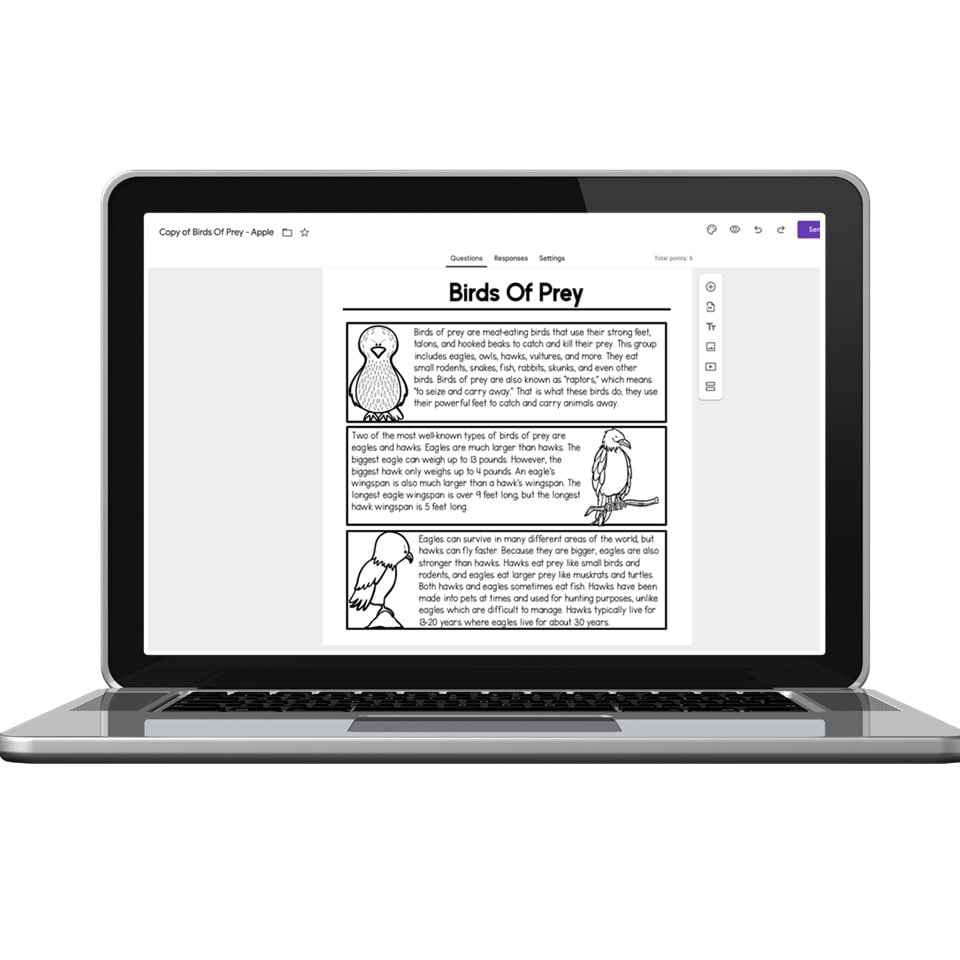 Digital 2nd Grade Reading Passages - Text Structures - Birds of Prey ...