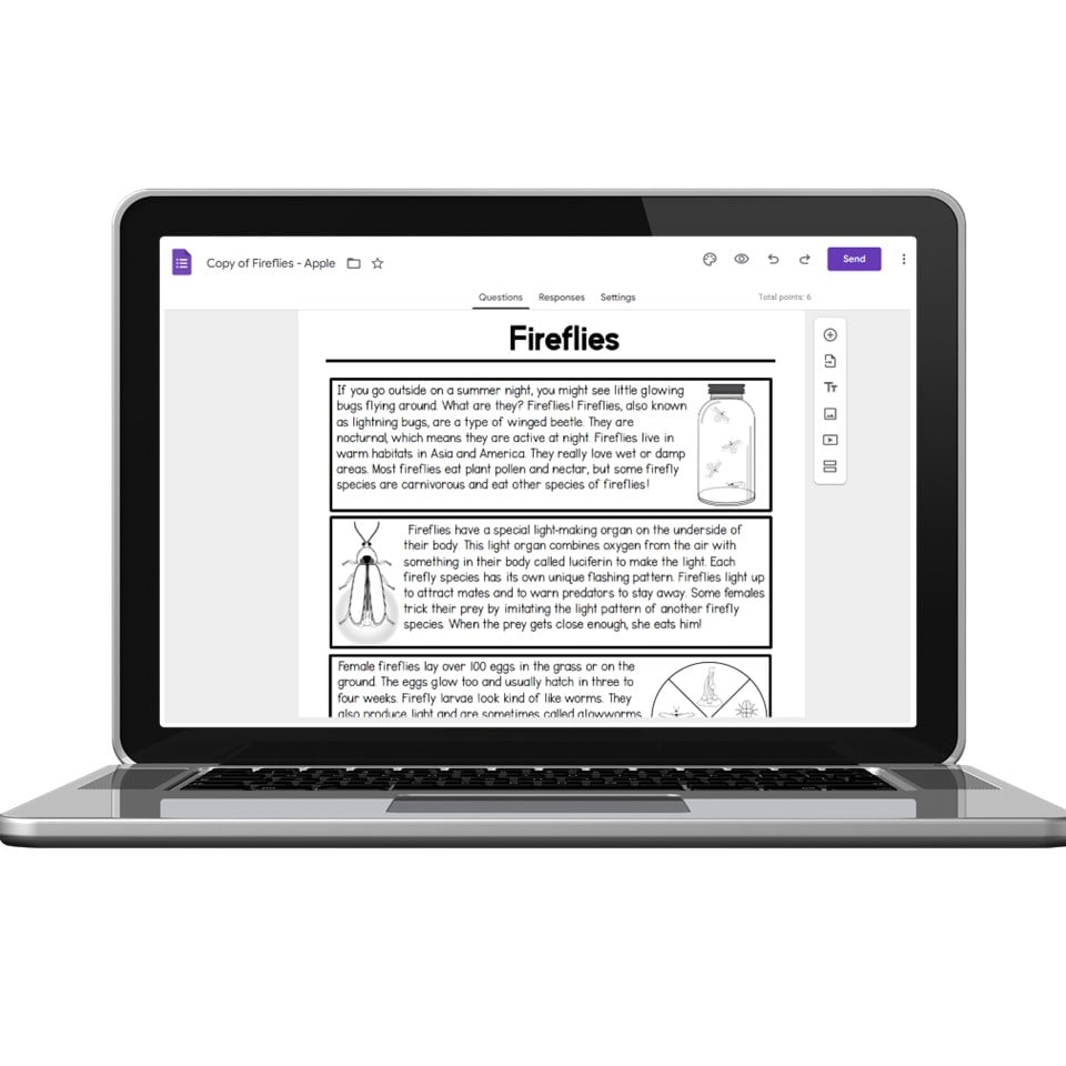 Digital 2nd Grade Reading Passages - Text Structures - Fireflies ...