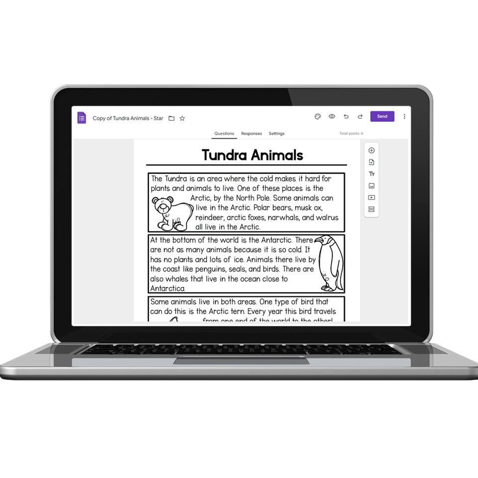 Digital 2nd Grade Reading Passages - Text Structures - Tundra Animals ...