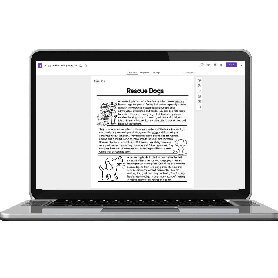Digital 2nd Grade Reading Passage - Vocabulary and Context Clues ...