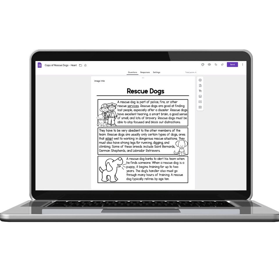 Digital 2nd Grade Reading Passage - Vocabulary and Context Clues ...