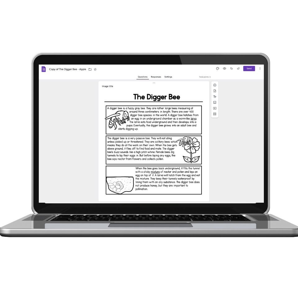Digital 2nd Grade Reading Passage - Vocabulary and Context Clues - The ...