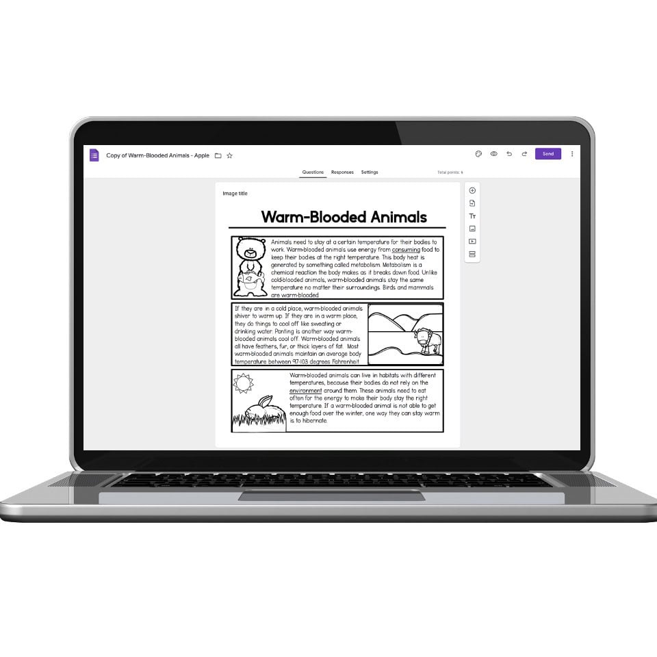 Digital 2nd Grade Reading Passage - Vocabulary and Context Clues - Warm ...