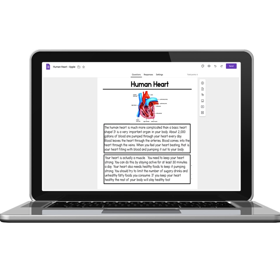 Digital 2nd Grade Reading Passages - Text Features - Human Heart ...