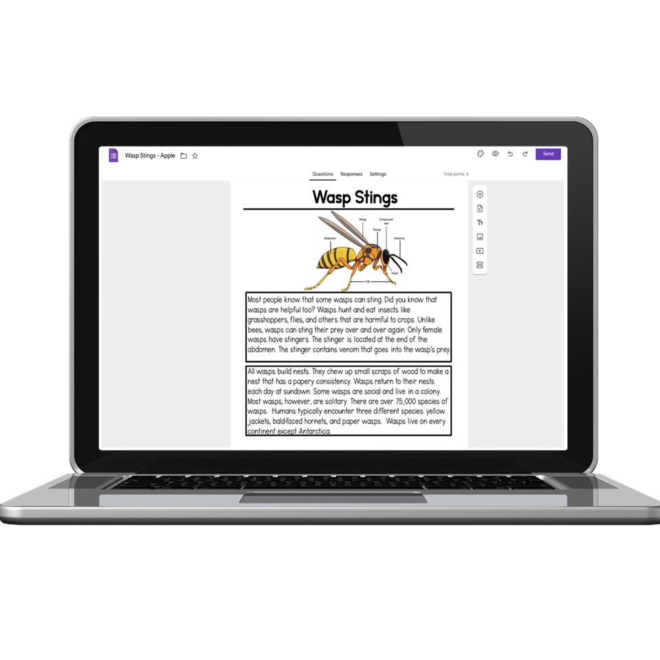 Digital 2nd Grade Reading Passages - Text Features - Wasp Stings ...