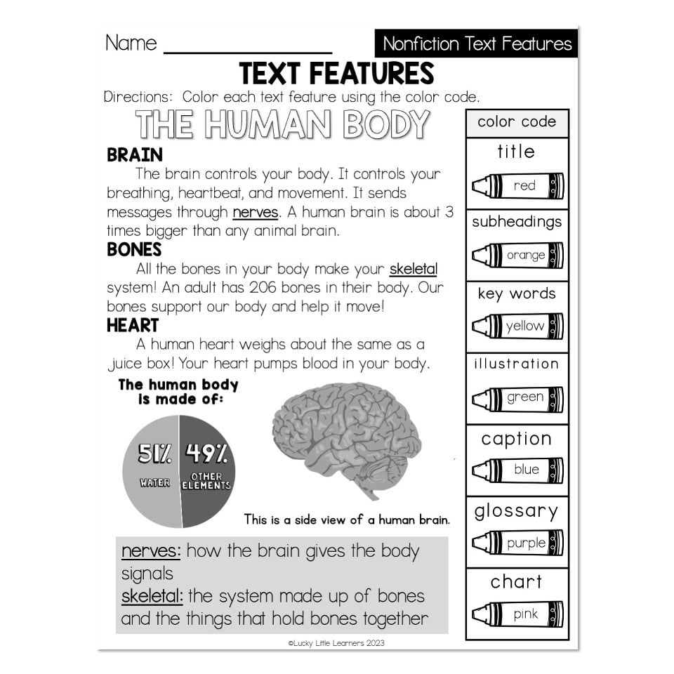 Nonfiction Text Features - The Human Body - Lucky Little Learners