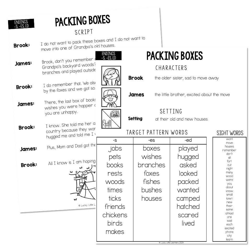 Paired Plays - Inflectional Endings & Suffixes S, ES, ED - Packing ...