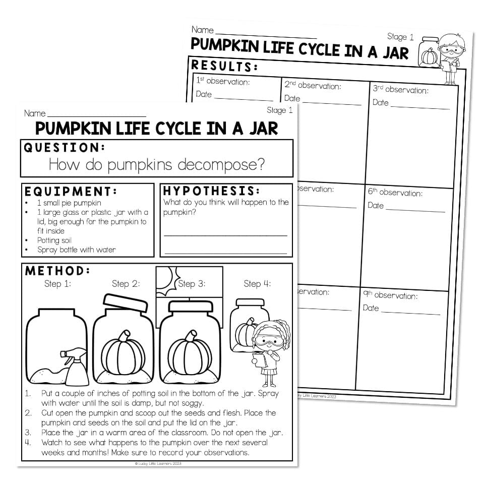 Pumpkin Life Cycle in a Jar Science Experiment - Lucky Little Learners