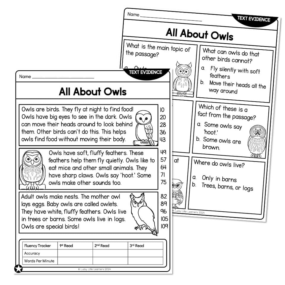 Reading Comprehension Passage - Nonfiction Text Evidence - All About ...
