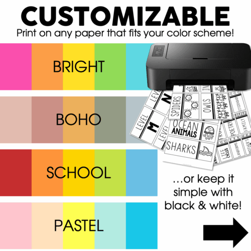 Classroom Library Book Bin Labels - Lucky Little Learners