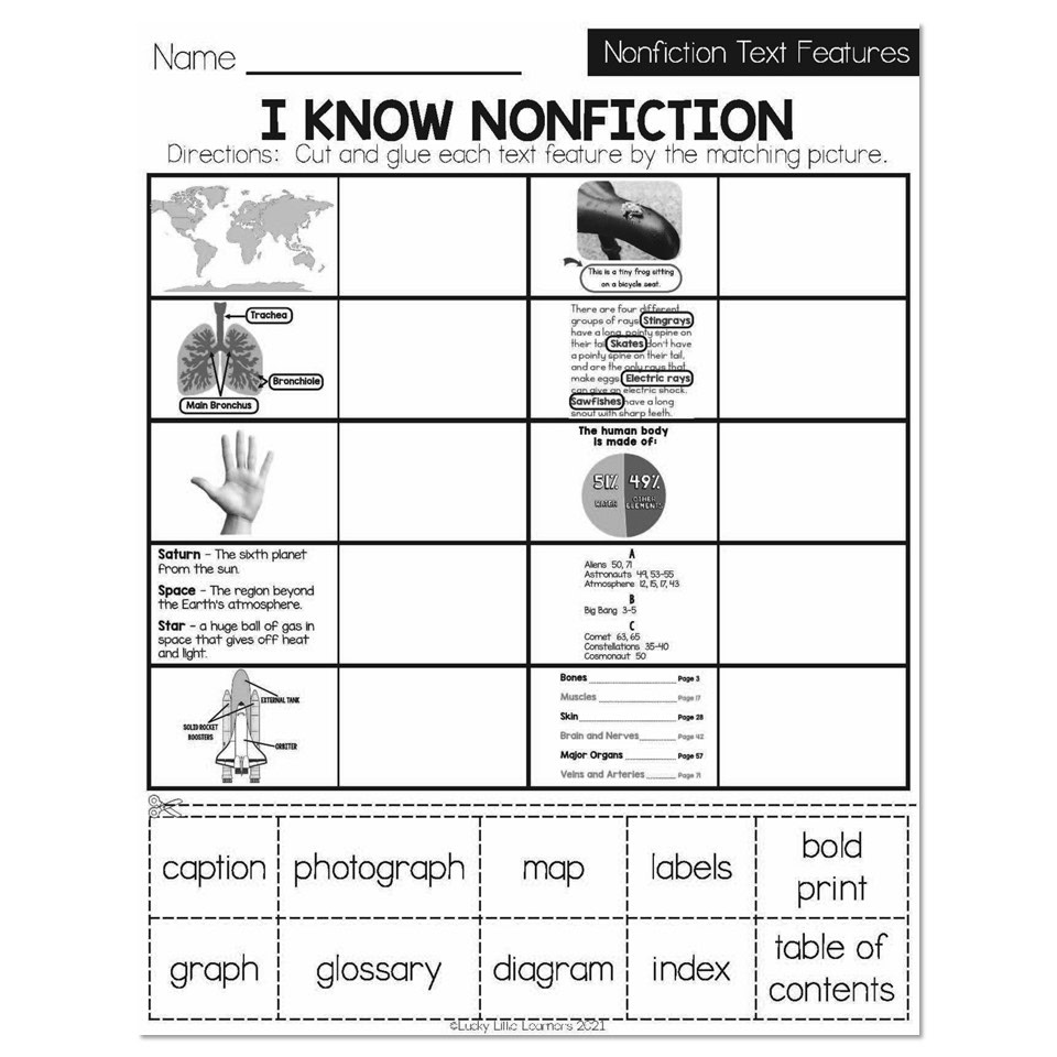 Nonfiction Text Features Worksheets