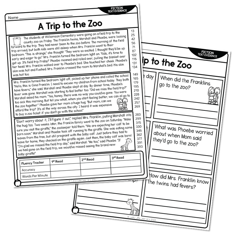 2nd Grade Fiction Text Evidence and 5 W's Reading Passage - A Trip to ...