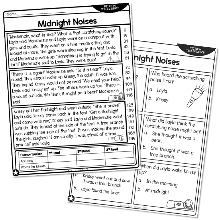 2nd Grade Fiction Text Evidence and 5 W's Reading Passage - Midnight ...