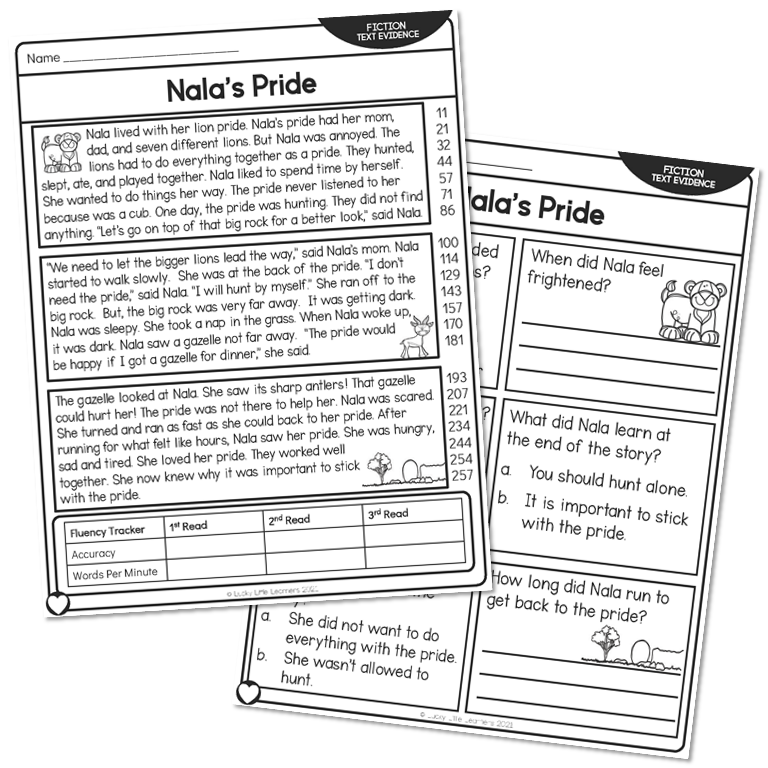 2nd Grade Fiction Text Evidence and 5 W's Reading Passage - Nala's ...